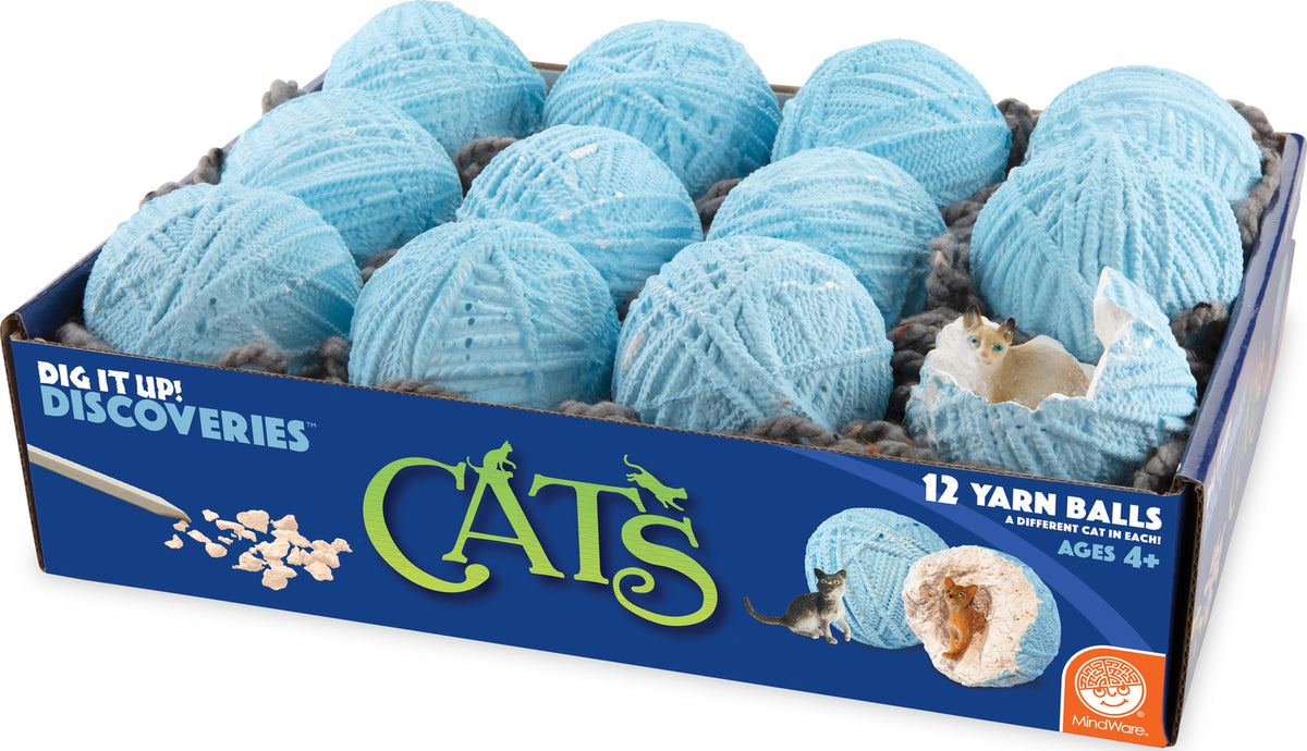 Dig It Up! Discoveries: Cats| Toyrifix