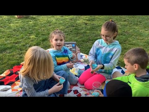 Chasing Fireflies Game| Toyrifix